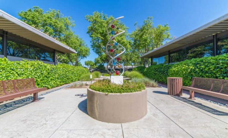 Team – Hall Equities Group